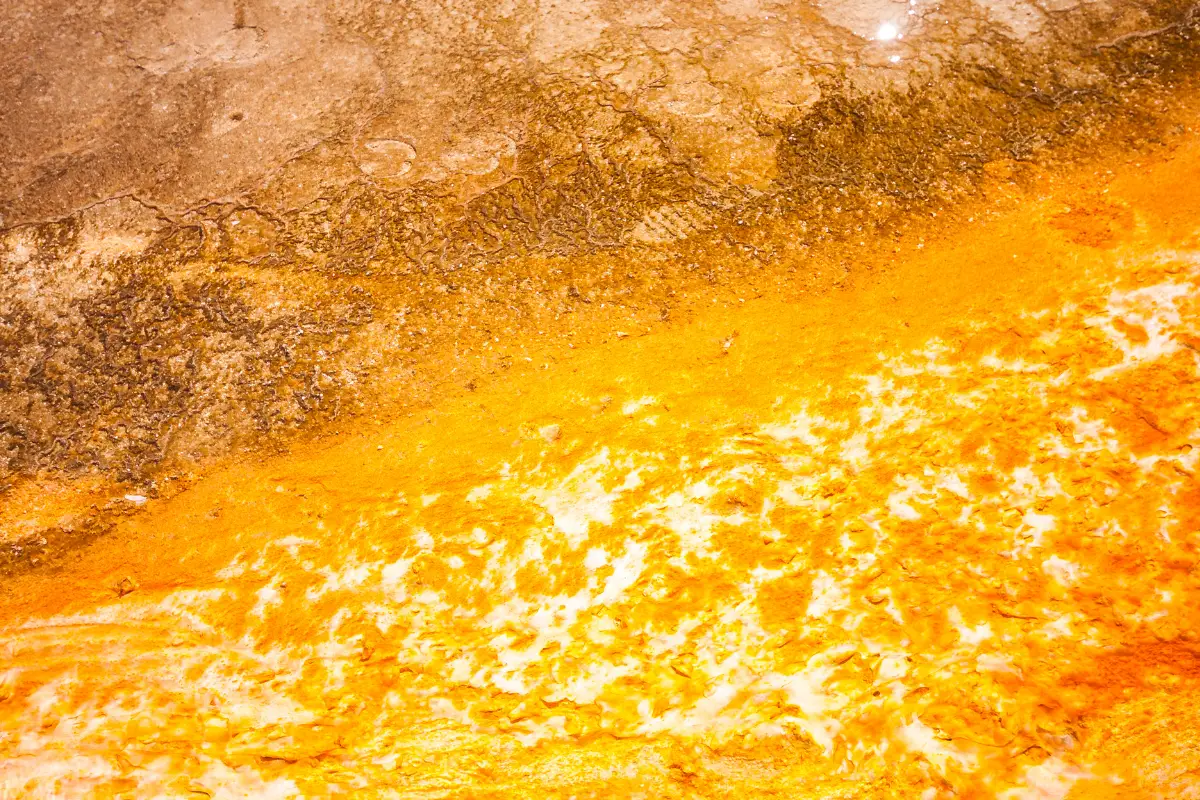 Yellow Stuff In Your Humidifier – What Is It and Is It Harmful ...