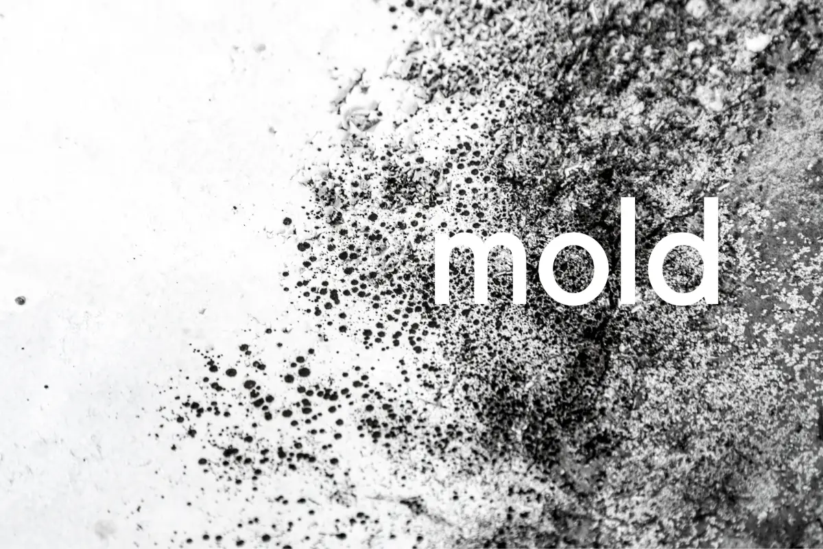 Why Does My AC Smell Like Vinegar? – Plentiful Air