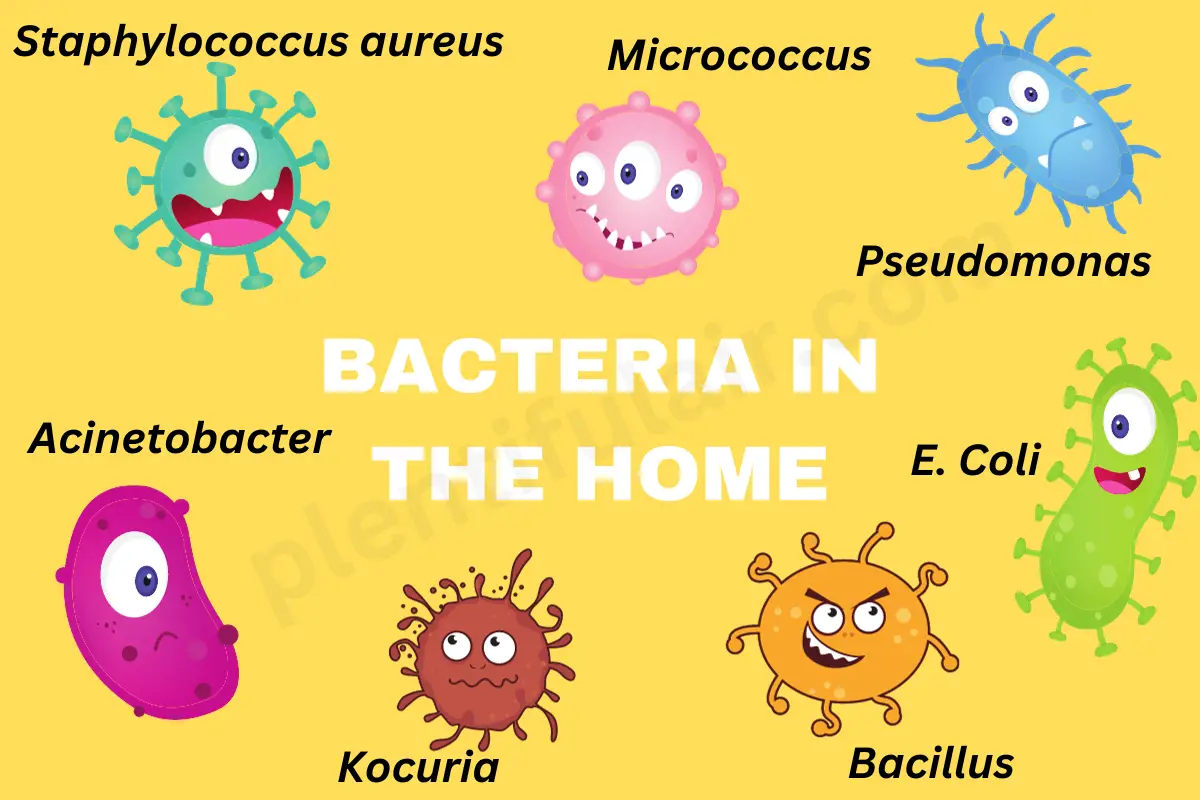Do Air Purifiers Remove Bacteria – HEPA, UV, Ozone And Ionizers ...